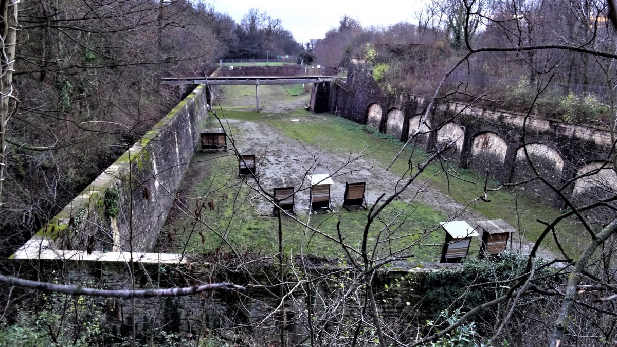 Les fossés du Fort de Bron - Association du Fort de Bron